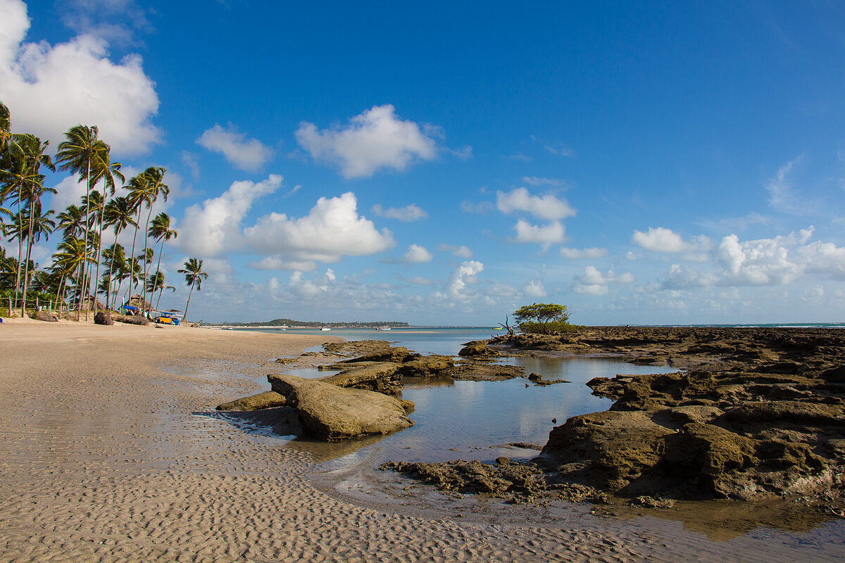 Brazil strengthens its ocean conservation efforts | Internationale ...