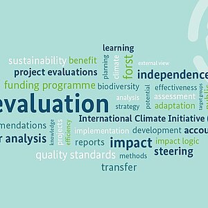 The International Climate Initiative (IKI) | Internationale ...