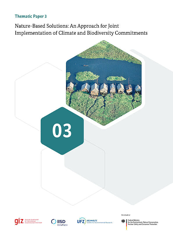 Thematic Paper 3: Nature-Based Solutions: An Approach for Joint Implementation of Climate and ...