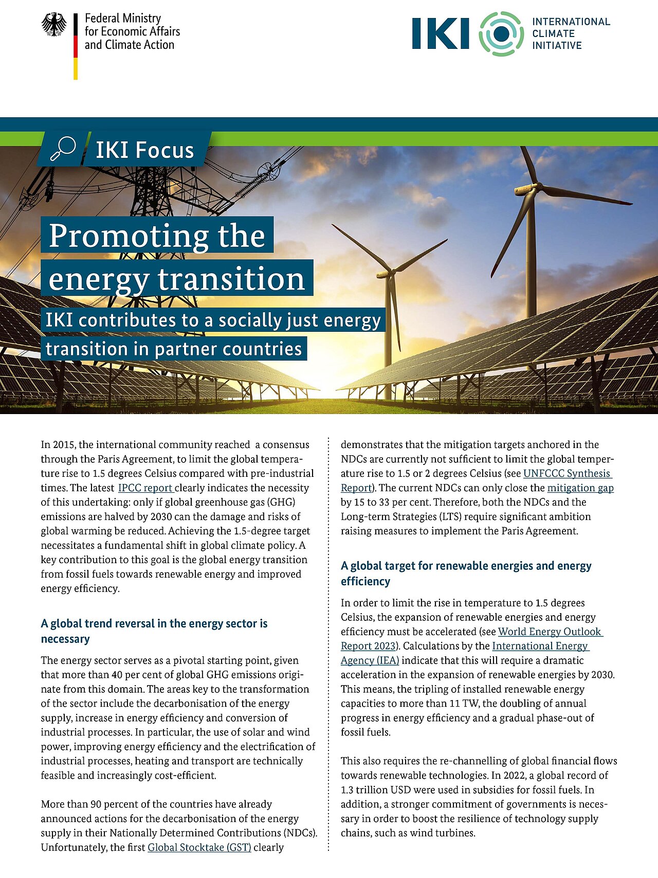 Promoting the energy transition | Internationale Klimaschutzinitiative ...