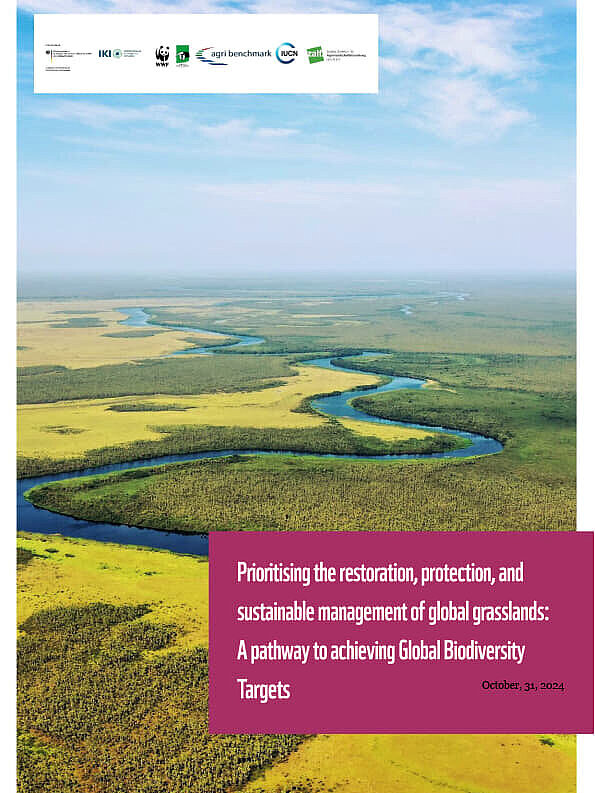 Prioritising the restoration, protection and sustainable management of ...