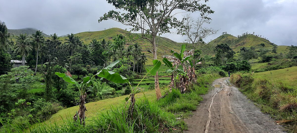 Forest and landscape restoration in the Philippines | Internationale ...