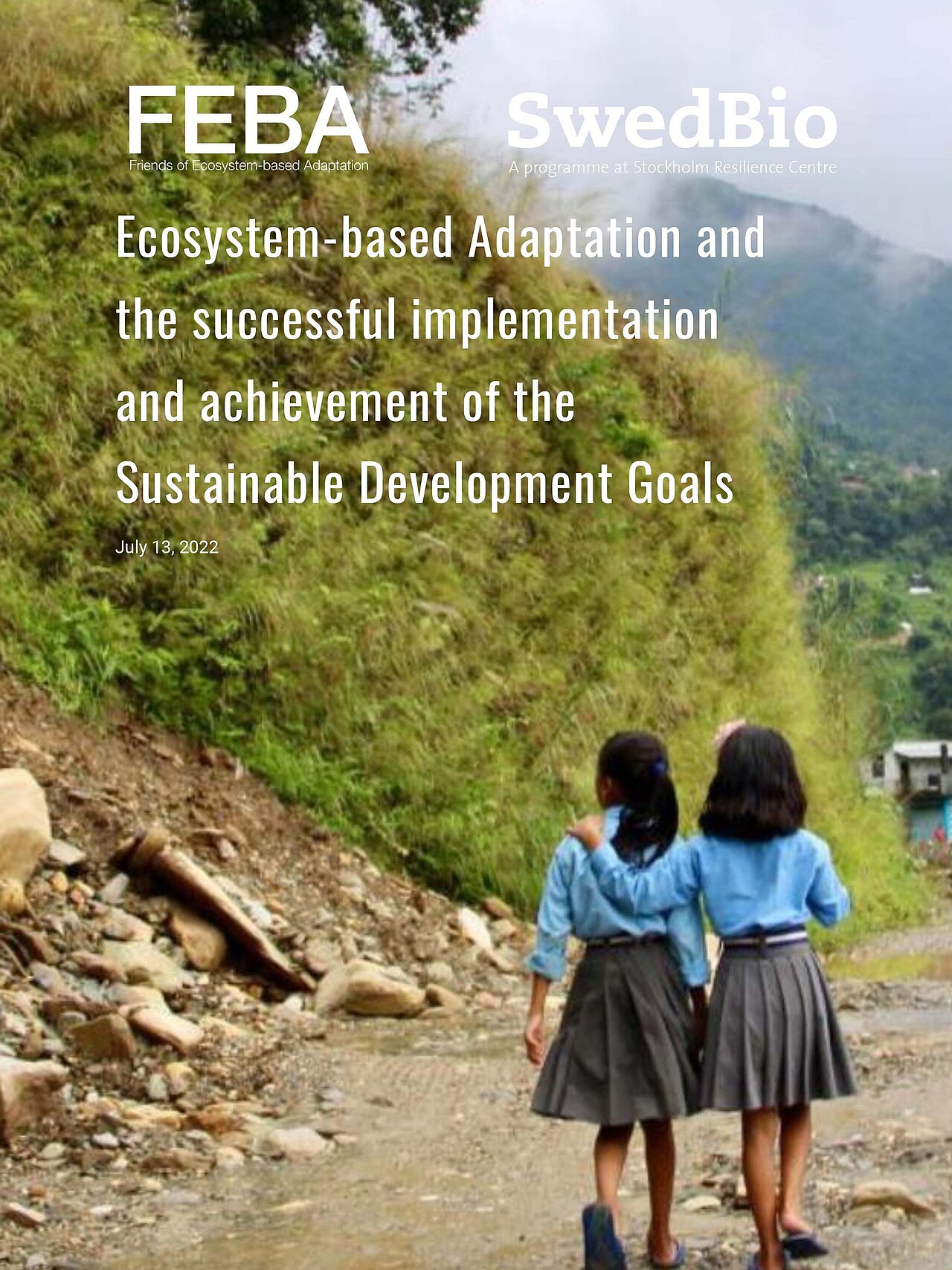 Ecosystem-based Adaptation and the successful implementation and ...