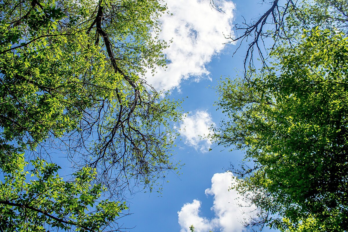 Mitigation Action Facility launches its Call for Projects 2023 ...