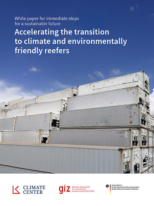 White paper for immediate steps for a sustainable future: Accelerating ...