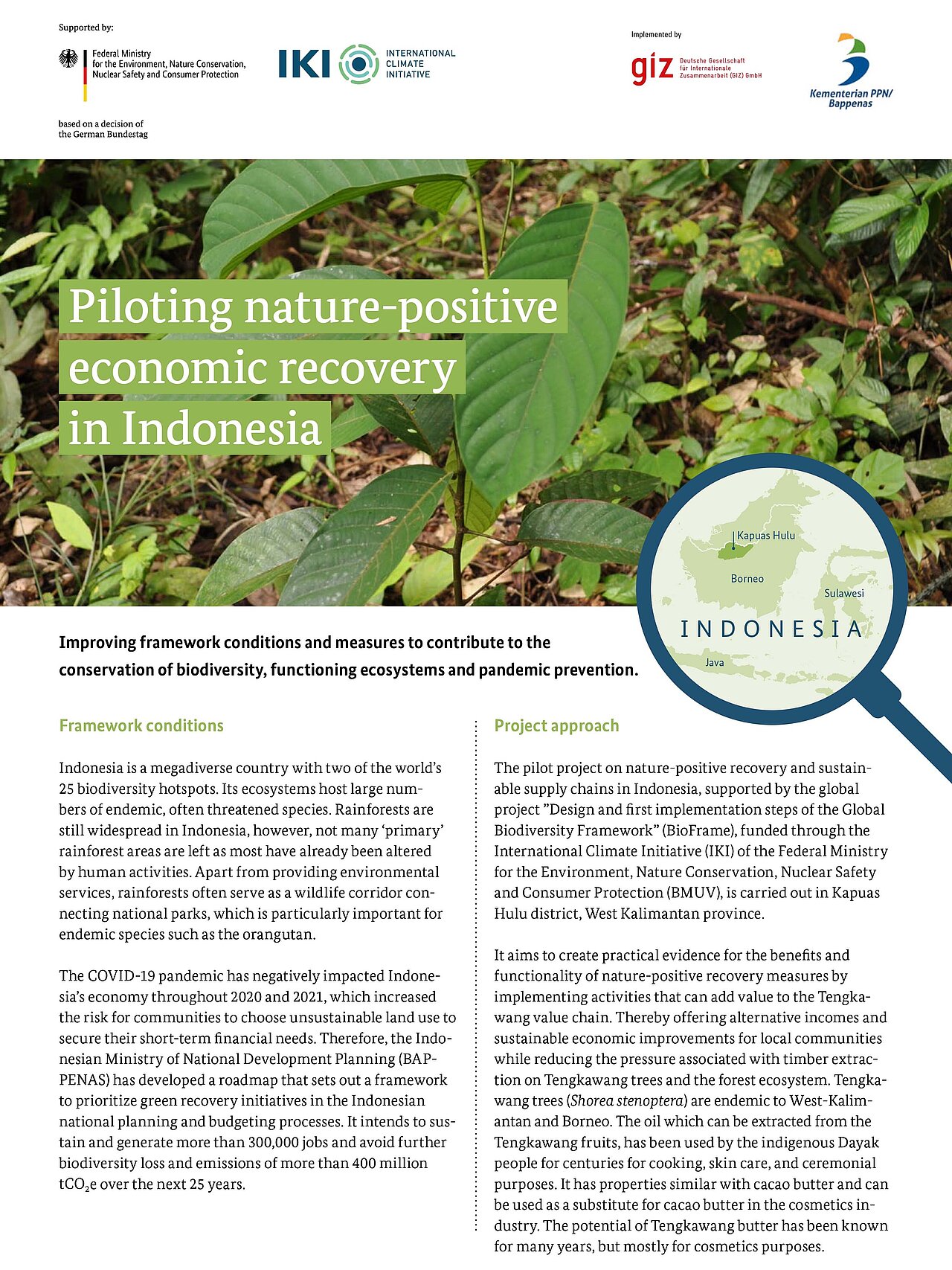 Piloting nature-positive economic recovery in Indonesia ...