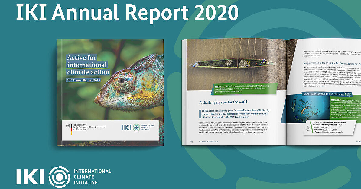 The IKI in 2020 | Internationale Klimaschutzinitiative (IKI)