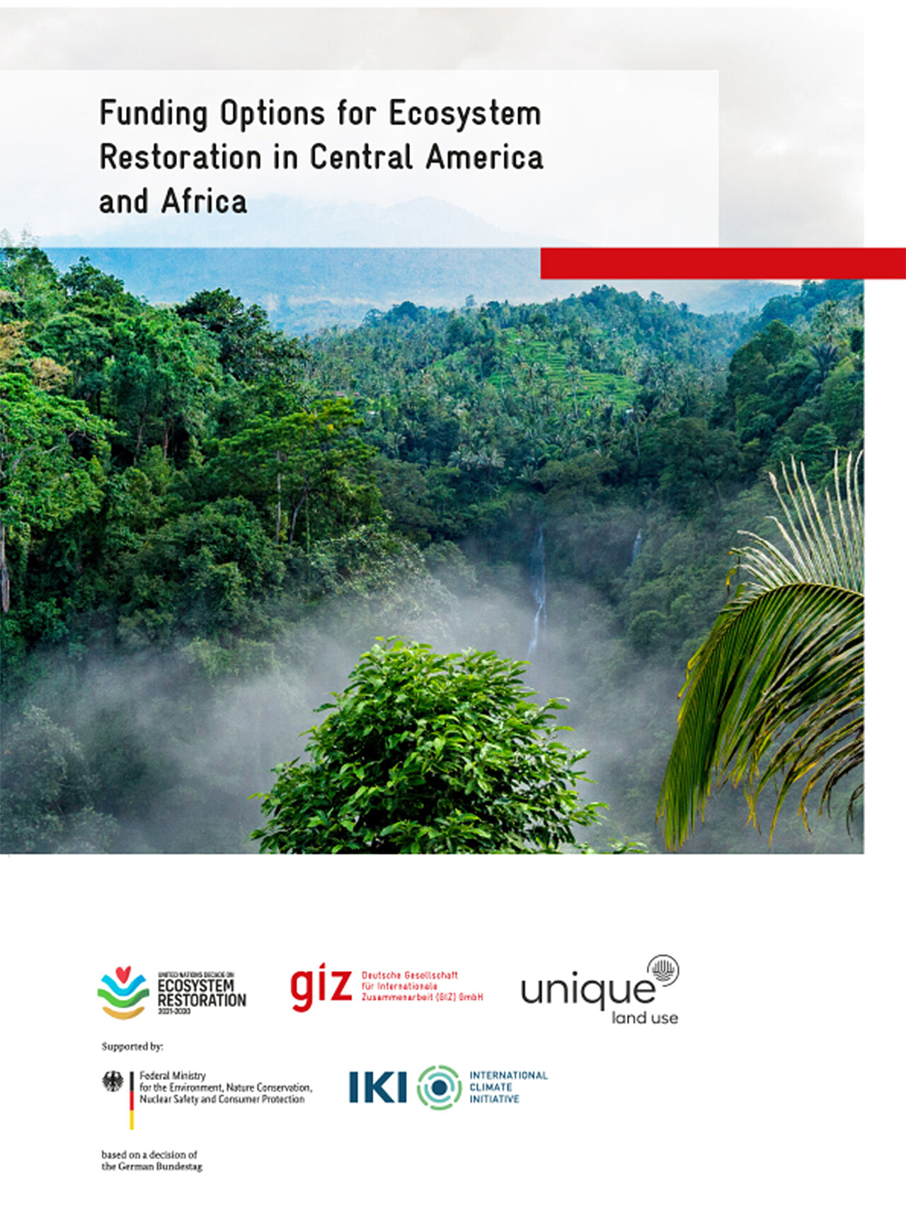 Funding Options for Ecosystem Restoration in Central America and Africa ...