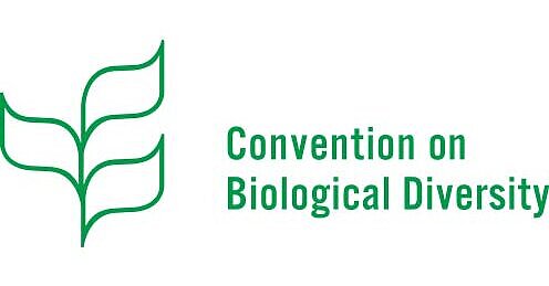 CBD COP 15 | Internationale Klimaschutzinitiative (IKI)