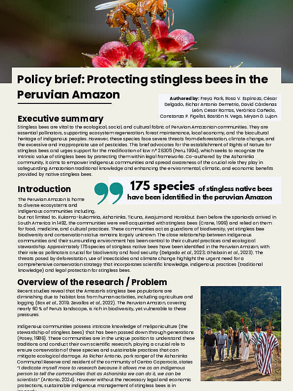 Policy brief: Protecting stingless bees in the Peruvian Amazon ...