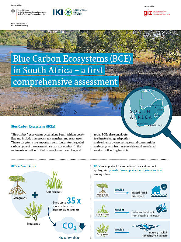 Blue Carbon Ecosystems (BCE) in South Africa – a first comprehensive ...