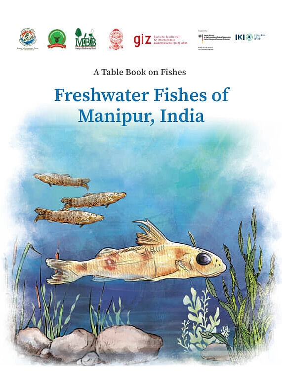 Freshwater Fishes of Manipur, India: A Table Book on Fishes ...