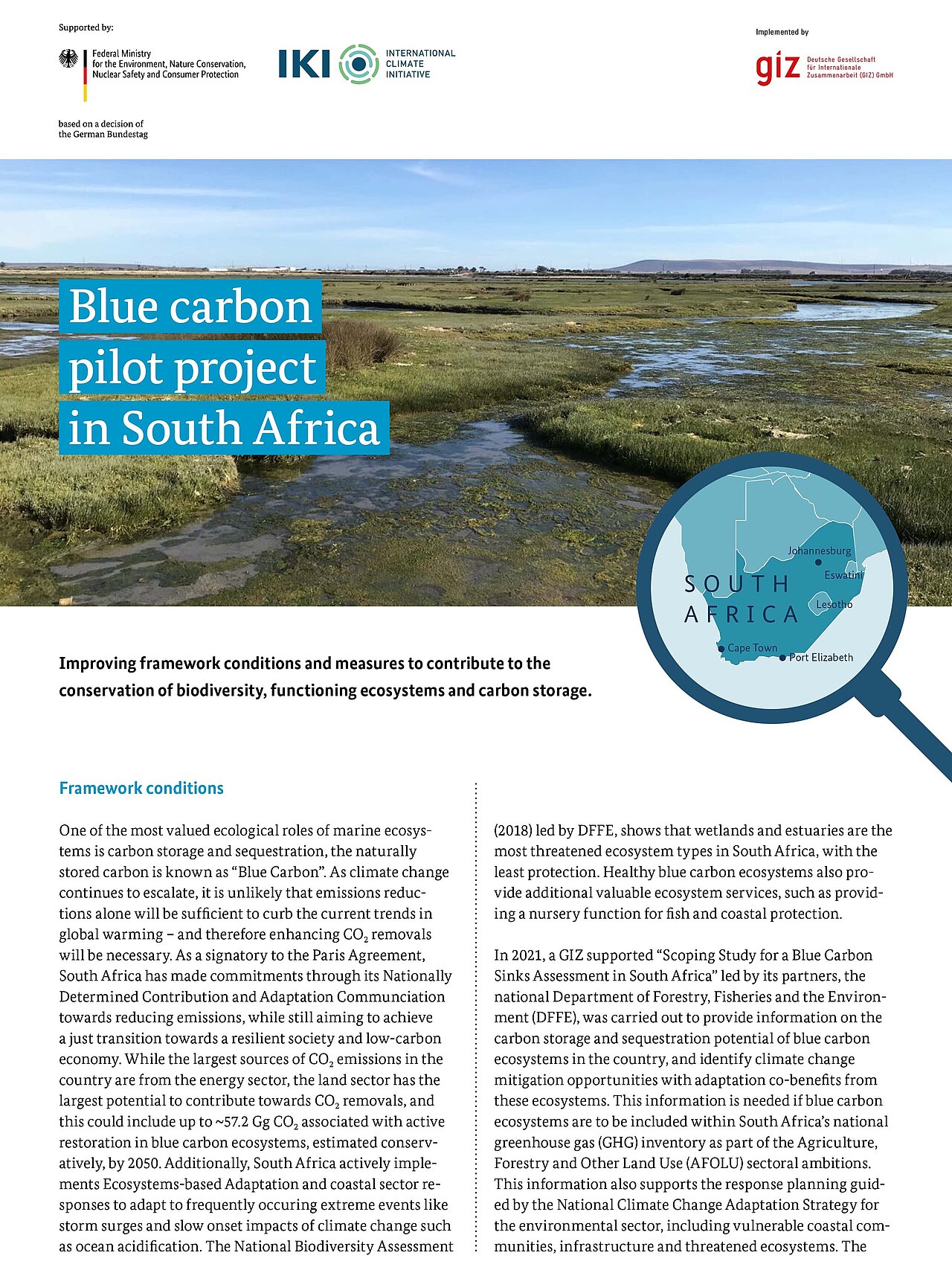 Blue carbon pilot project South Africa | Internationale ...