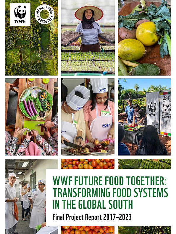 WWF Future Food Together: Transforming Food Systems in the Global South ...