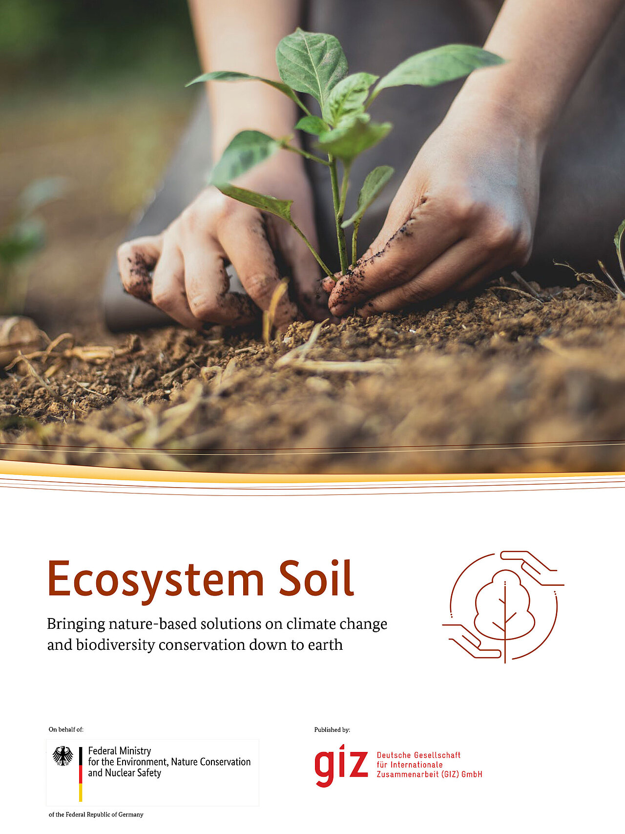 Ecosystem Soil | Internationale Klimaschutzinitiative (IKI)