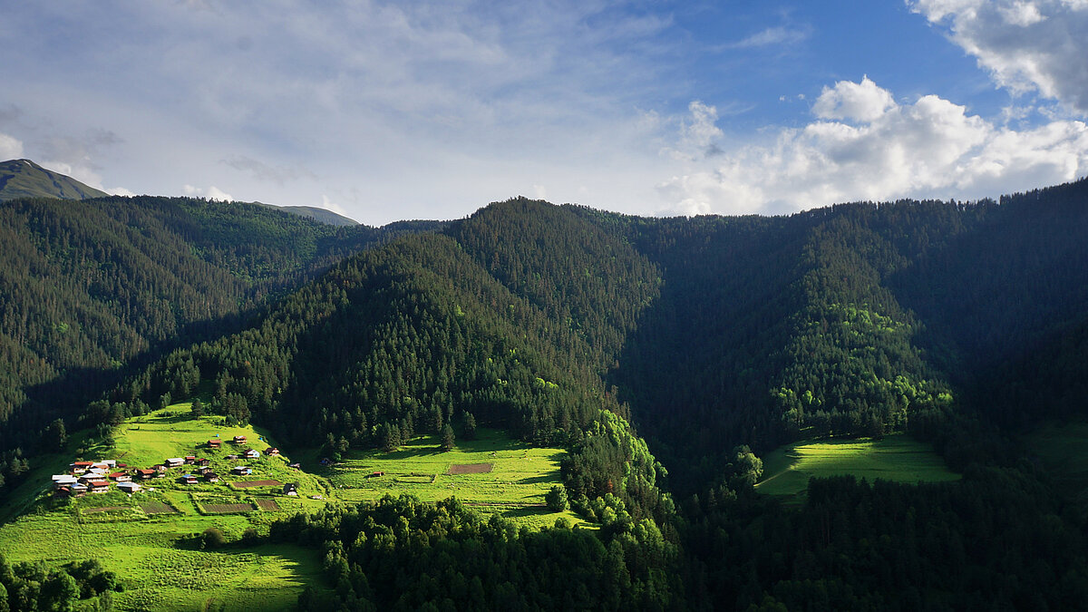 Georgia’s path to a carbon-neutral future | Internationale ...