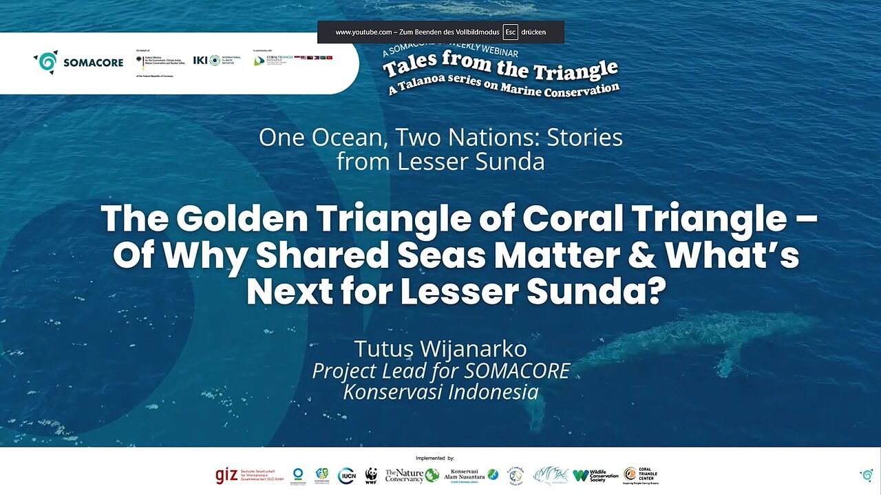 The Golden Triangle of Coral Triangle – Why Shared Seas Matter ...