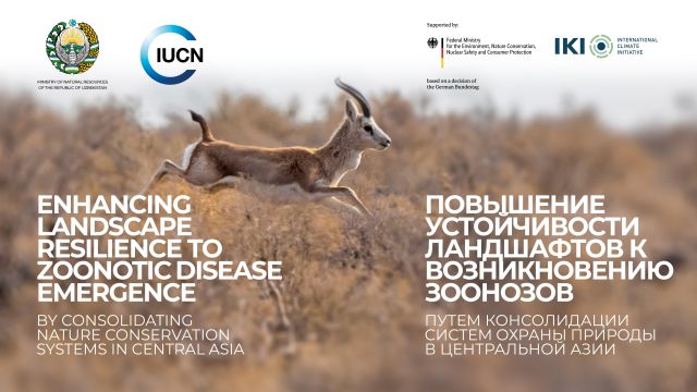 Strong regional commitment to One Health approach in Central Asia ...