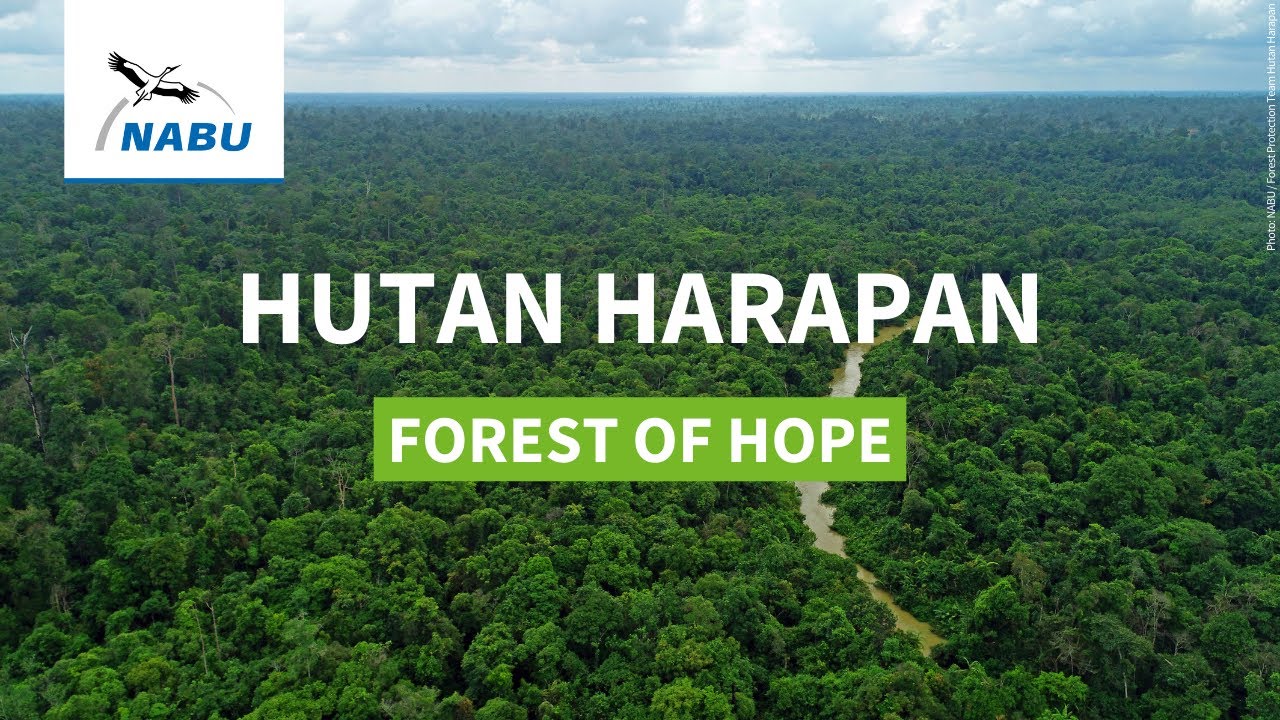 Hutan Harapan - Forest of Hope | Internationale Klimaschutzinitiative (IKI)