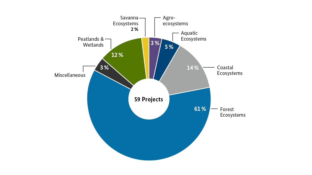UN Decade on Ecosystem Restoration | Internationale ...
