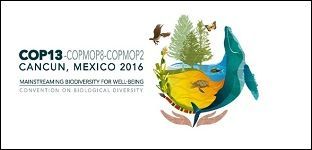 Weltkonferenz zu Biodiversität beginnt | Internationale ...