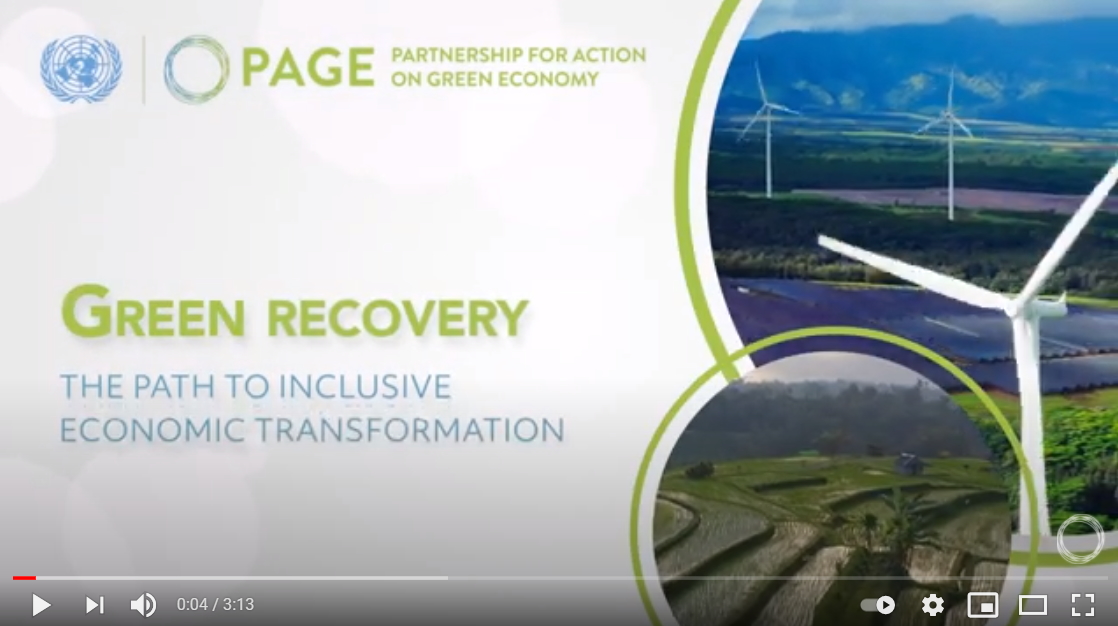 Green Recovery: The path to inclusive economic transformation ...