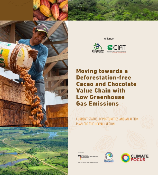 Moving towards a deforestation-free cacao and chocolate value chain ...