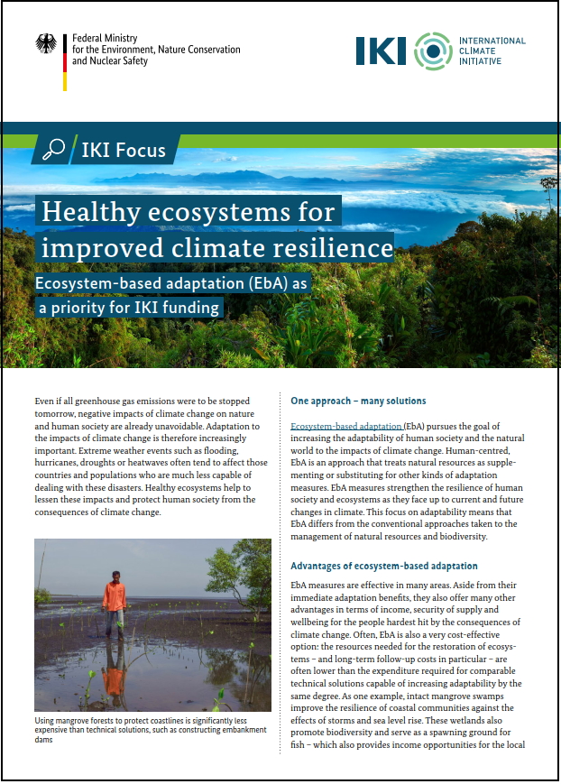Healthy ecosystems for improved climate resilience - ecosystem-based ...