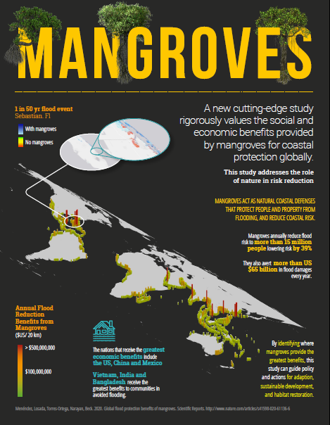 The Global Flood Protection Benefits of Mangroves | Internationale ...