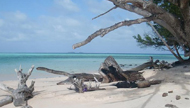 Protecting Micronesia's Islands | Internationale Klimaschutzinitiative ...