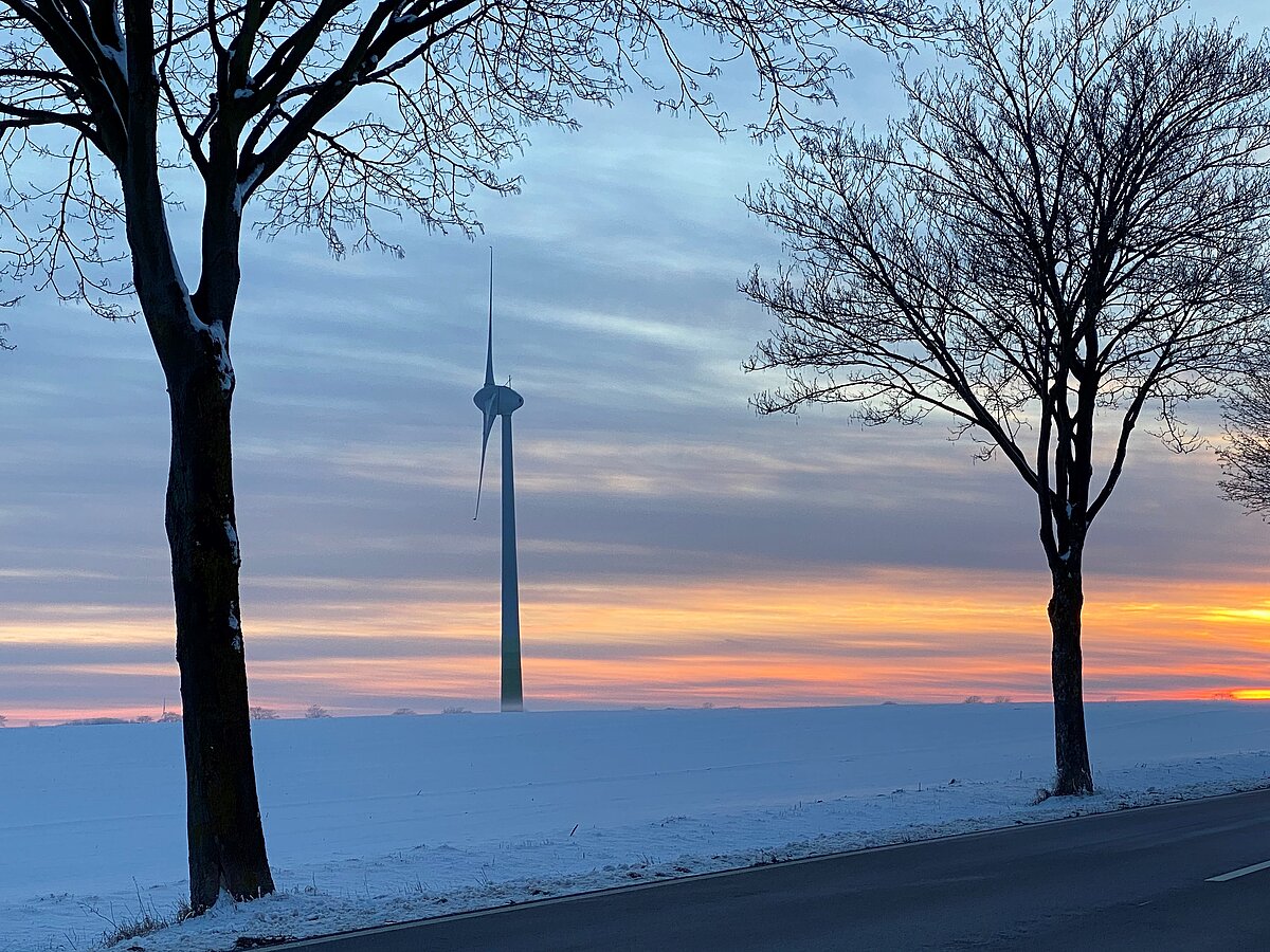 Gelingt der Welt das „Building back better“? | Internationale ...