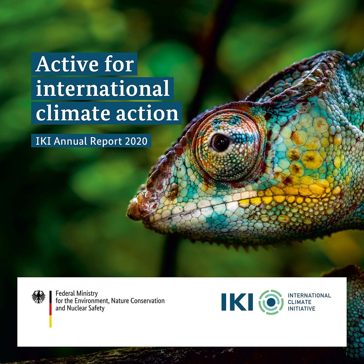 Active for international climate action – IKI annual report 2020 ...