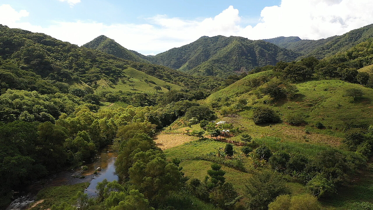 Mexico: Forest-friendly dairy farming in Chiapas | Internationale ...