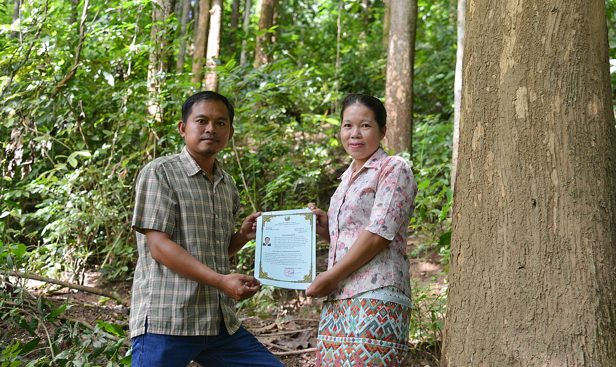 Teak Tree Certification In Laos Internationale Klimaschutzinitiative