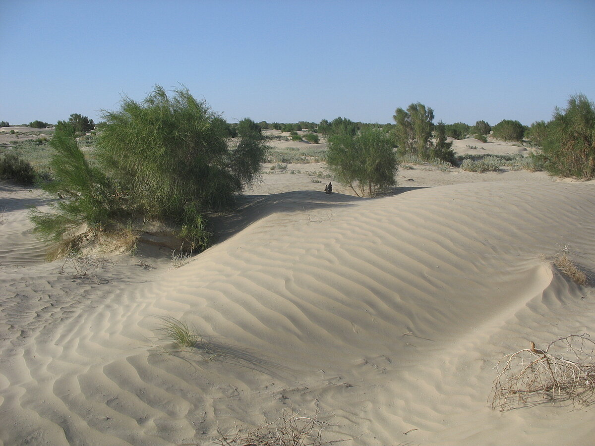 Cold winter deserts of Turan nominated for UNESCO World Heritage status ...