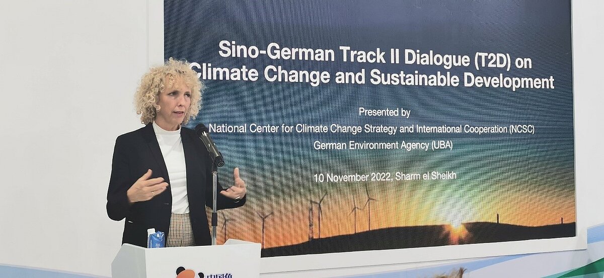 Sino-German Track II Dialogue | Internationale Klimaschutzinitiative (IKI)