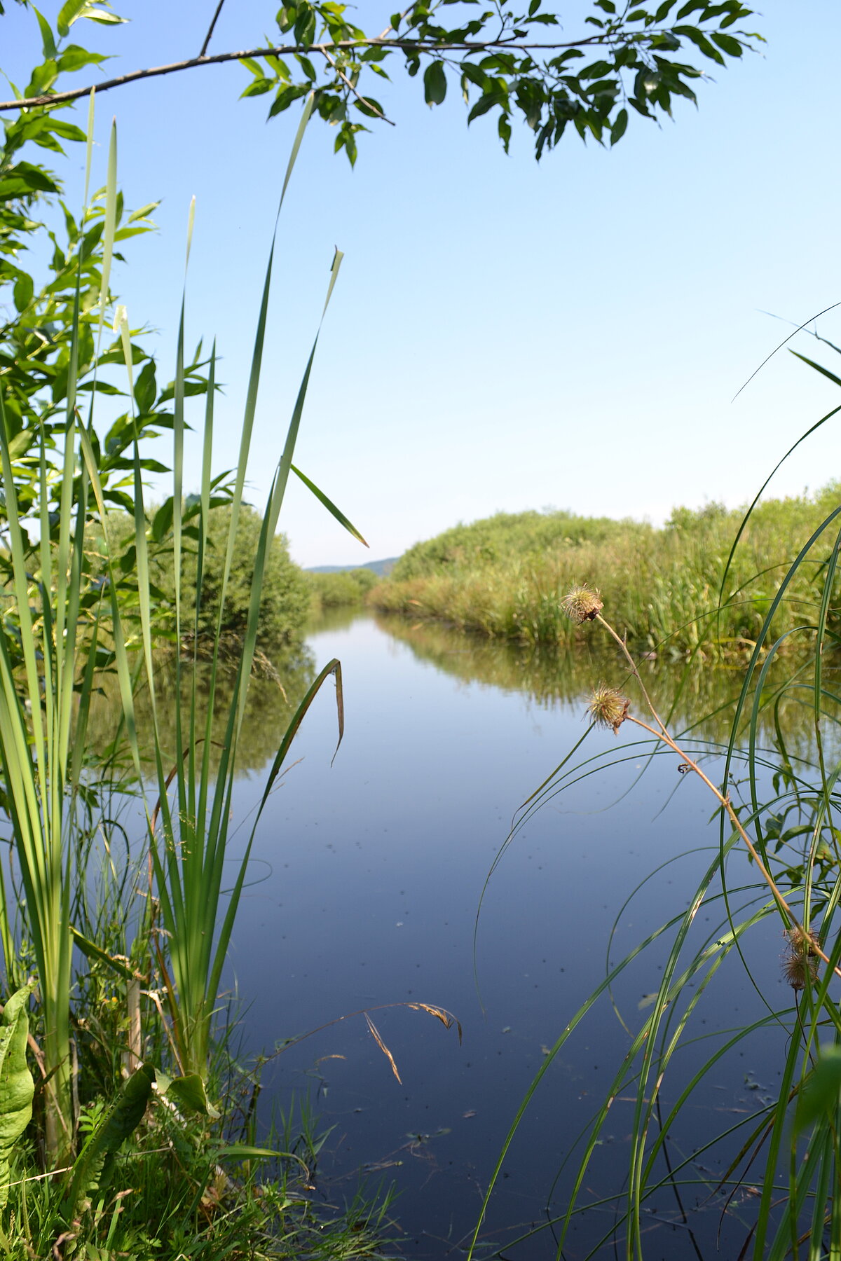 Recovery of ecosystem functions in the Ukraine | Internationale ...