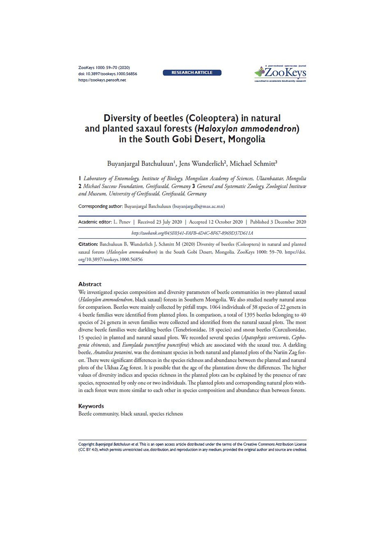 Diversity of beetles in natural and planted saxaul forests in the South ...